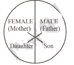 The given figure represents the inheritance pattern of a certain type ...