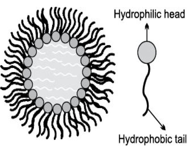 Soap Micelle