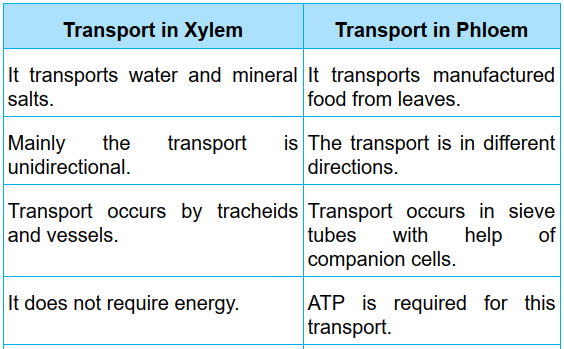 What are the differences between transport of materials through xylem and phloem?
