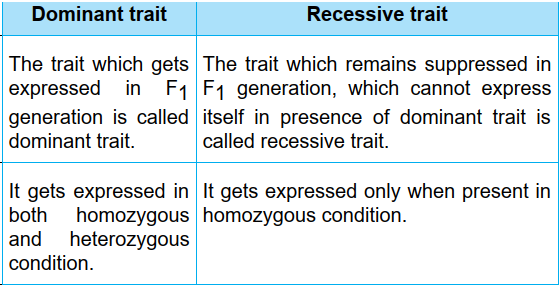 Differentiate between dominant and recessive trait?