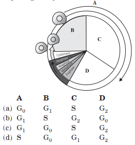 Identify $\mathrm{A}, \mathrm{B}, \mathrm{C}$ and $\mathrm{D}$ in the given diagram depicting ...