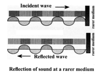 What is mean by the reflection of sound? Explain.