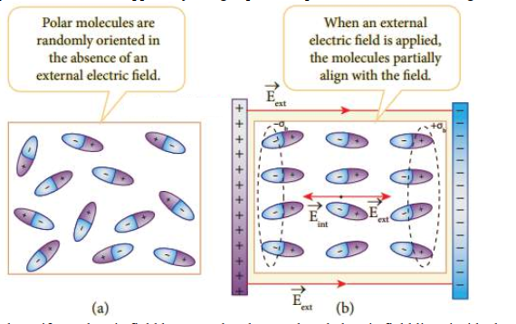 Explain dielectrics in detail and how an electric field is induced ...