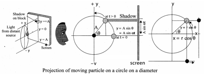 Describe Simple Harmonic Motion as a projection of uniform circular motion.