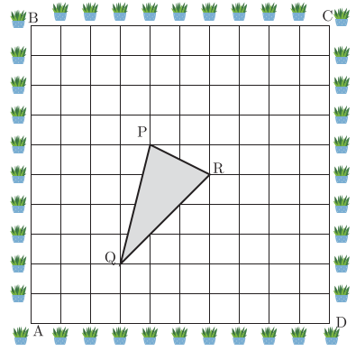 A garden is in the shape of rectangle. Gardener grew sapling of Ashoka ...