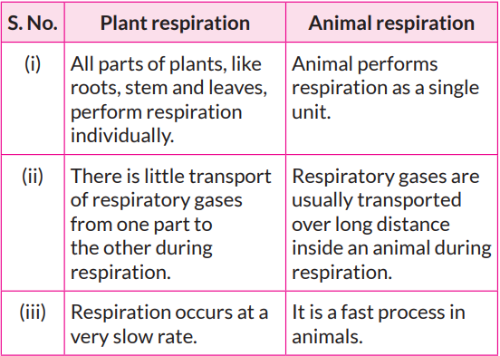 Write three points of difference between respiration in plants and ...