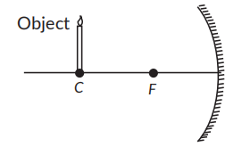 Which of the following statements is not true in reference to the ...