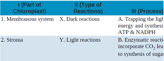 Match the following: (a) $1-\mathrm{Y}-\mathrm{A}, 2-\mathrm{X}-\mathrm ...