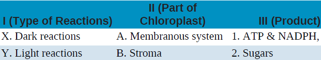 Match the following: (a) $\mathrm{X}-\mathrm{B}-2, \mathrm{Y}-\mathrm{A ...