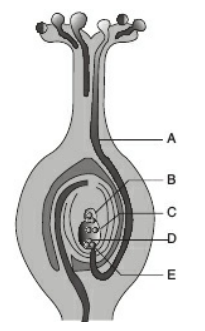 $ \text { [What are the parts A, B, C, D and E in this figure? } $ (a ...