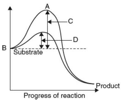 The figure given below shows the conversion of a substate into product ...