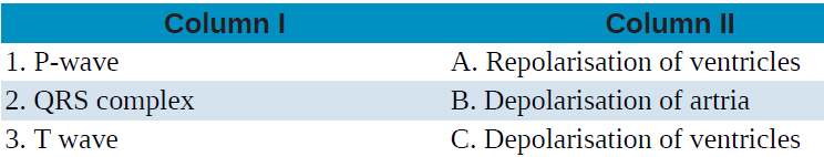 Identify, the following in a standard ECG: (a) $1-\mathrm{B}, 2-\mathrm{A}, 3-\mathrm{C}$ (b) $1 ...