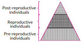 Draw and explain expanding age pyramids of human population. Why is it ...