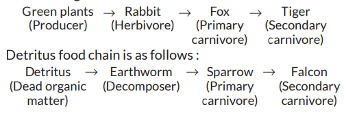 Draw the labelled grazing and detritus food chain with minimum 3 ...