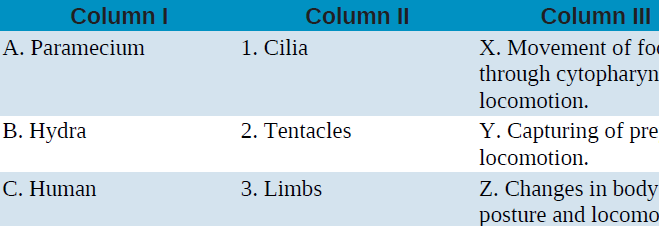 Select The Correct Matching A Mathrm{a} 1 Mathrm{x} Mathrm{b} 2