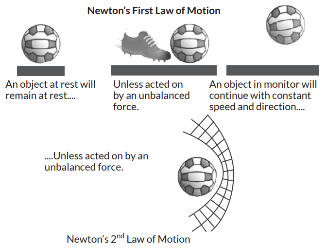 State Newton’s laws of motion and explain their implications in Sports ...