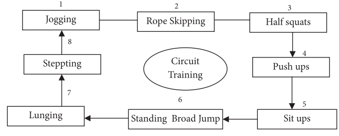 Define Circuit Training. Draw a diagram of 8 (Eight) stations and ...