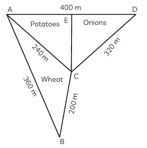 Sarla Devi has a triangular field with sides $240 \mathrm{~m}, 200 ...