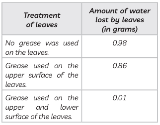 A student investigated the loss of water from plant leaves. Following ...