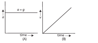 Draw (A) acceleration - time (B) velocity time (C) Position - time ...