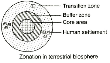 In which part of the biosphere reserves, human settlement is ...