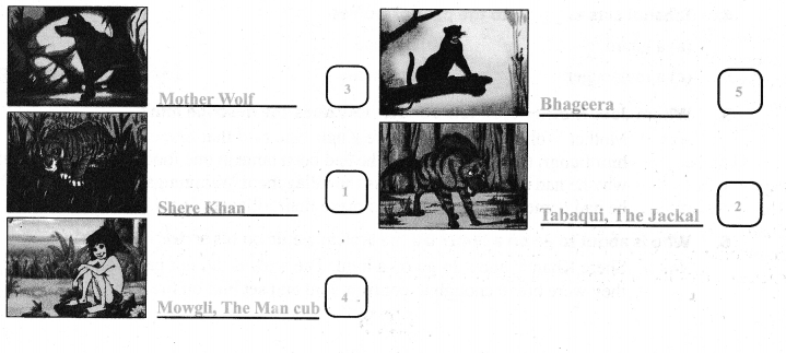 Text Book Back Questions and Answers - Chapter 1 - The Jungle Book-Play ...