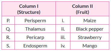 Match the correct structures given in column I with the fruit in column ...