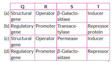 Identify the correct labelling for $\mathrm{Q}, \mathrm{R}, \mathrm{S}$ and T for the lac operon ...